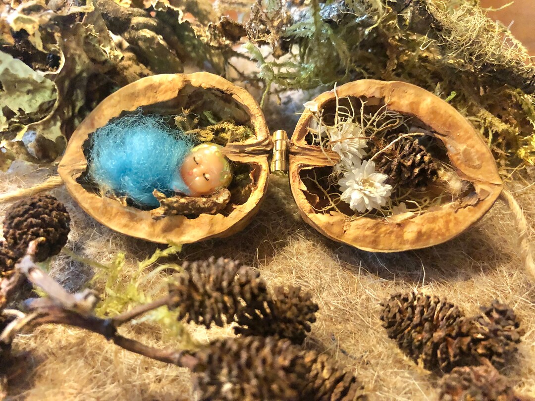 Micro Baby in Walnut Diorama Ornament - Etsy