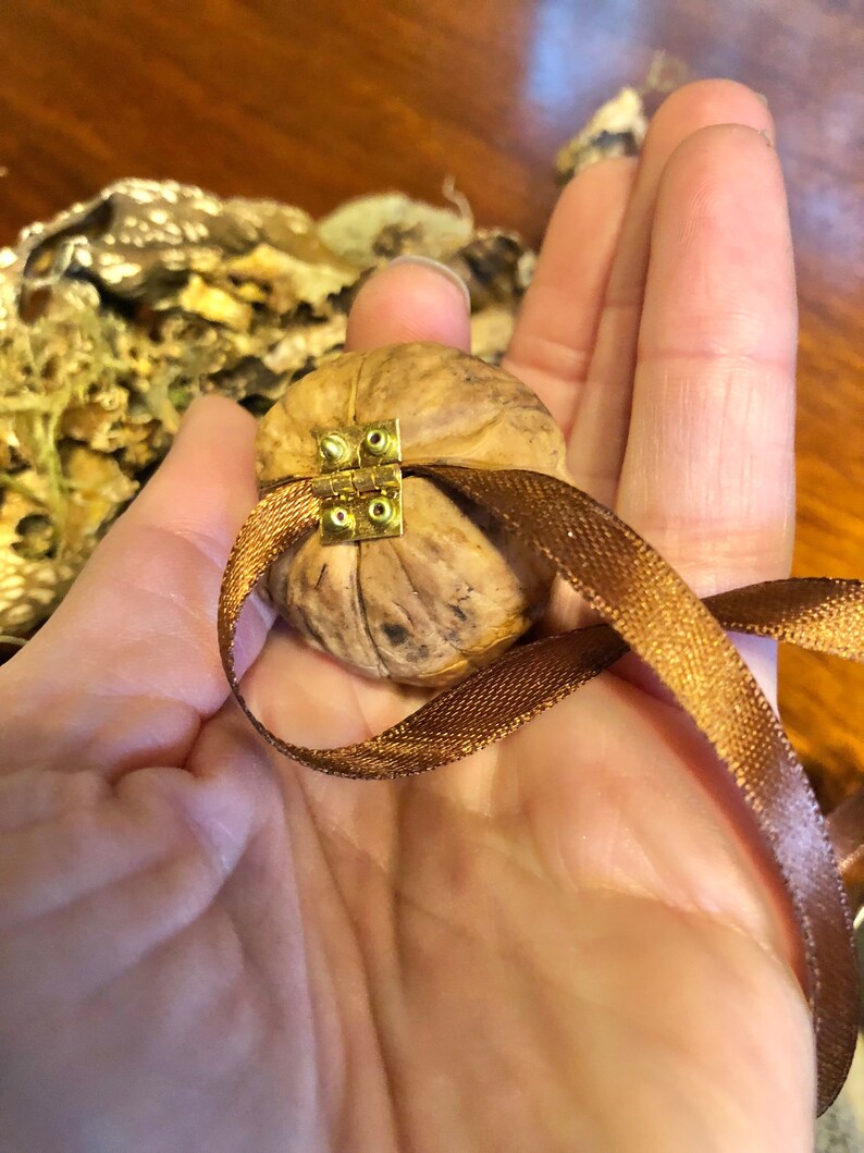 Micro Fairy in Walnut Box Diorama - Etsy