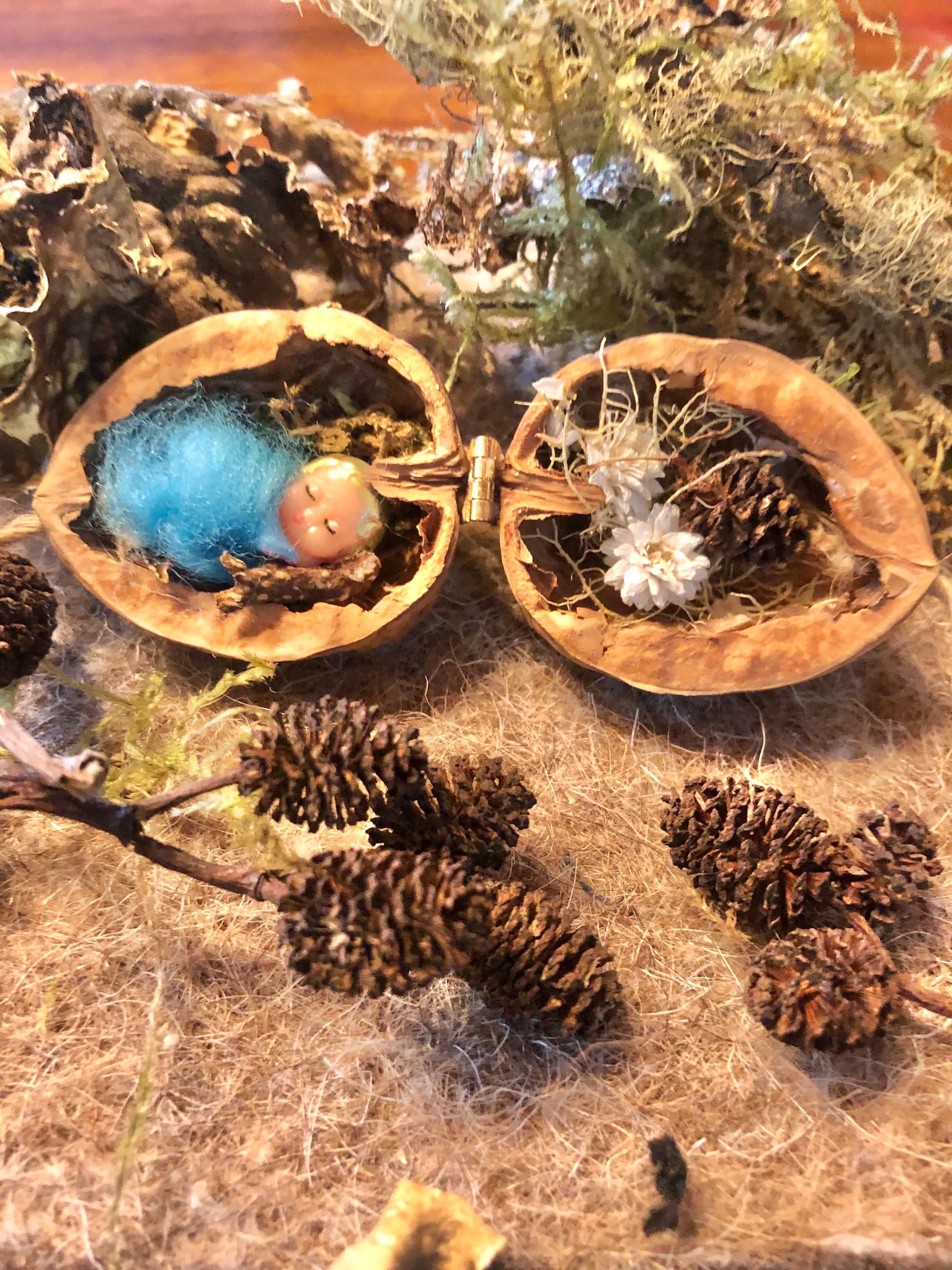 Micro Baby in Walnut Diorama Ornament - Etsy