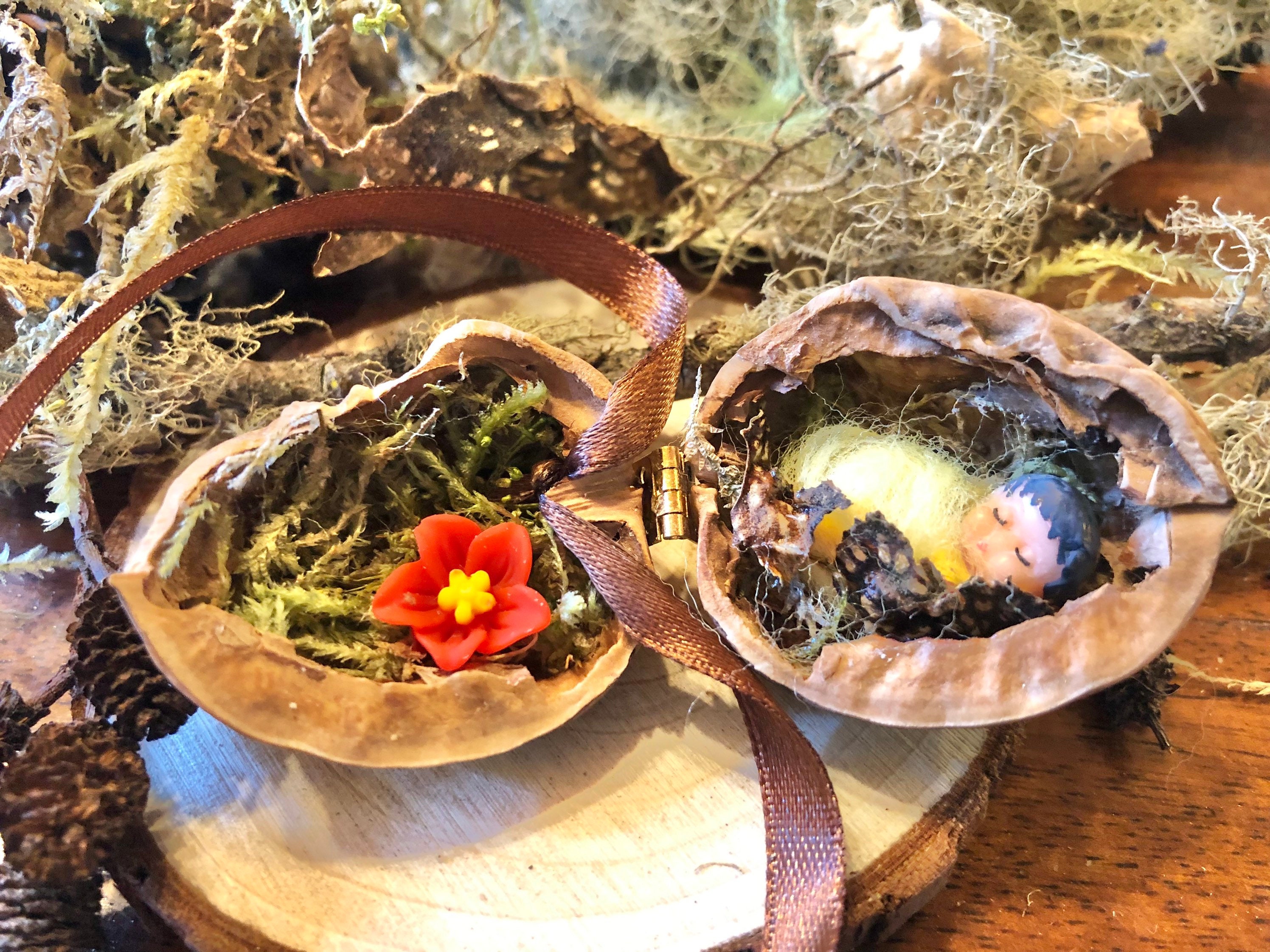 Micro Baby in Walnut Box Diorama - Etsy