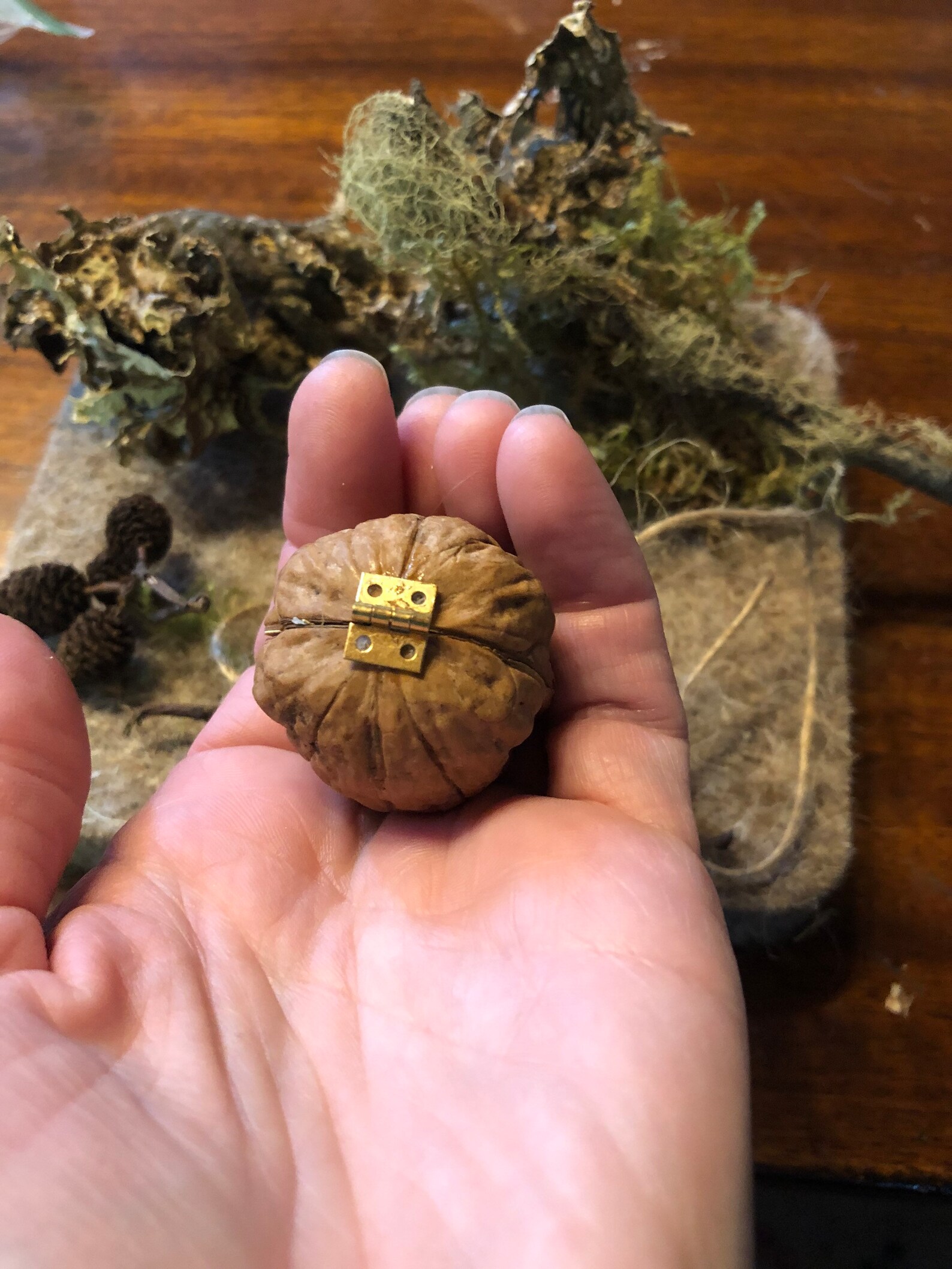 Micro Baby in Walnut Diorama Ornament - Etsy