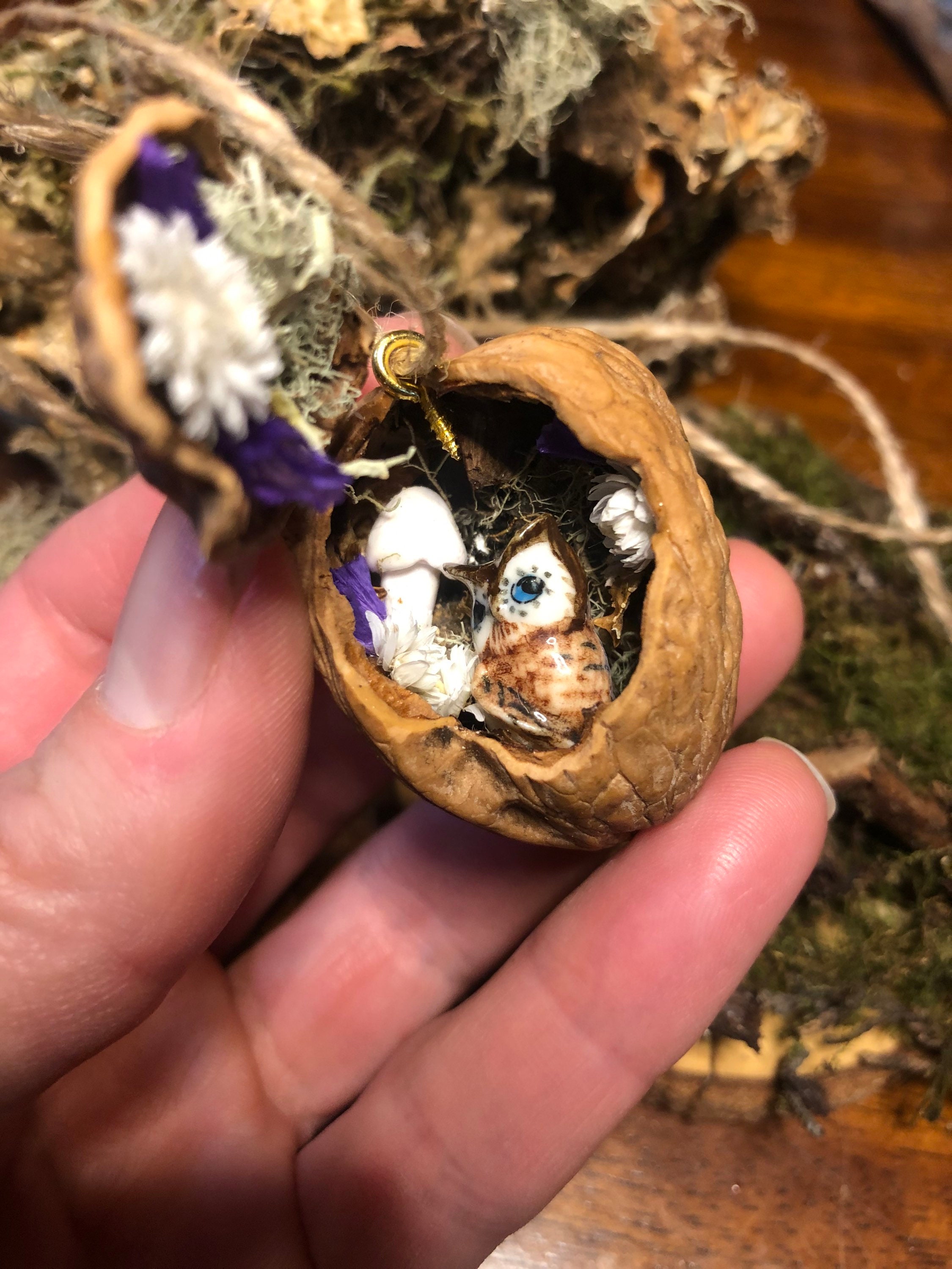 Micro Owl House in a Walnut Pendant Box Diorama - Etsy