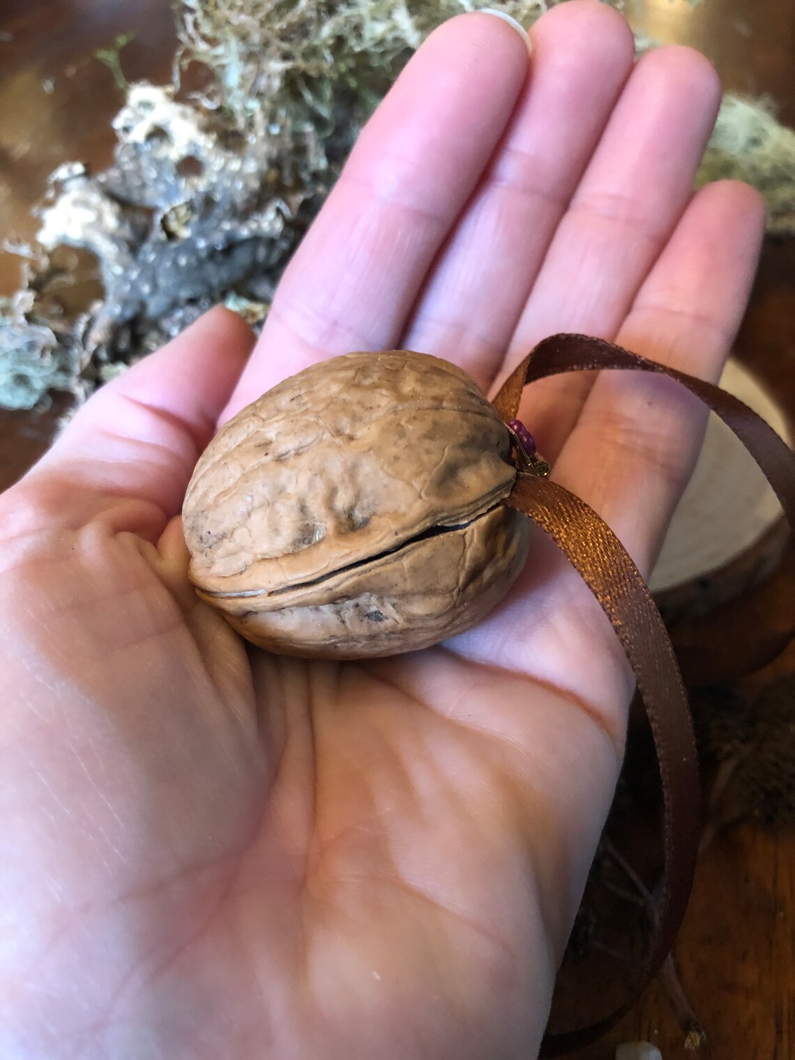 Micro Fairy in a Walnut House Diorama - Etsy