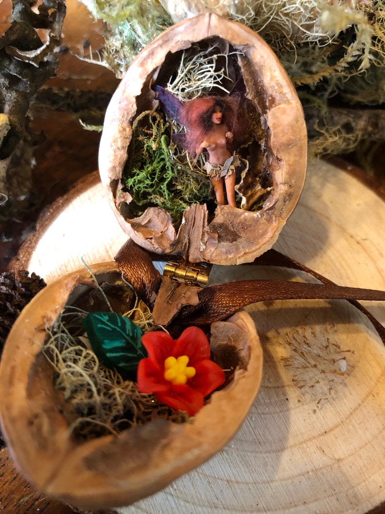 Micro Fairy in a Walnut House Diorama - Etsy