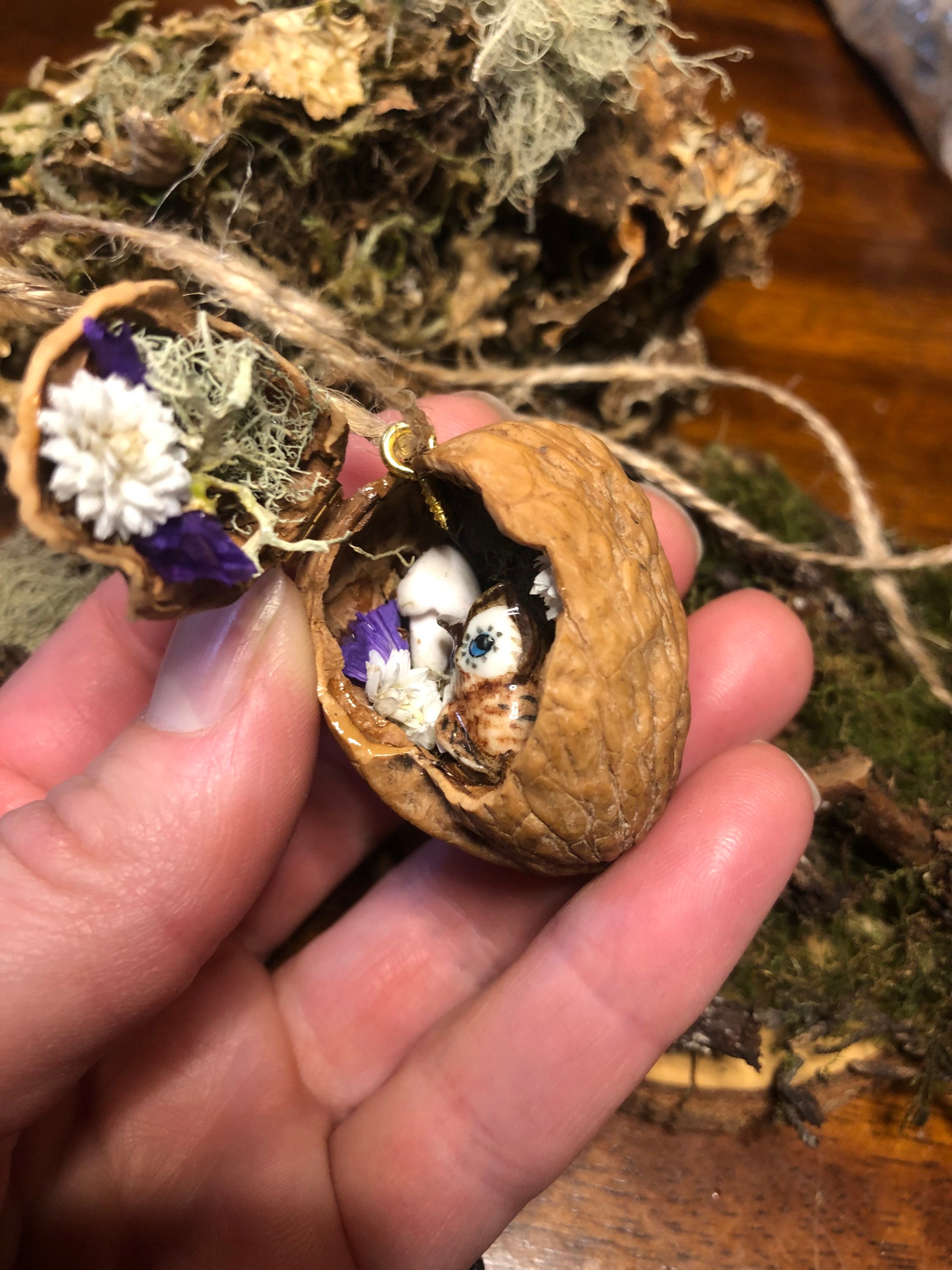 Micro Owl House in a Walnut Pendant Box Diorama - Etsy