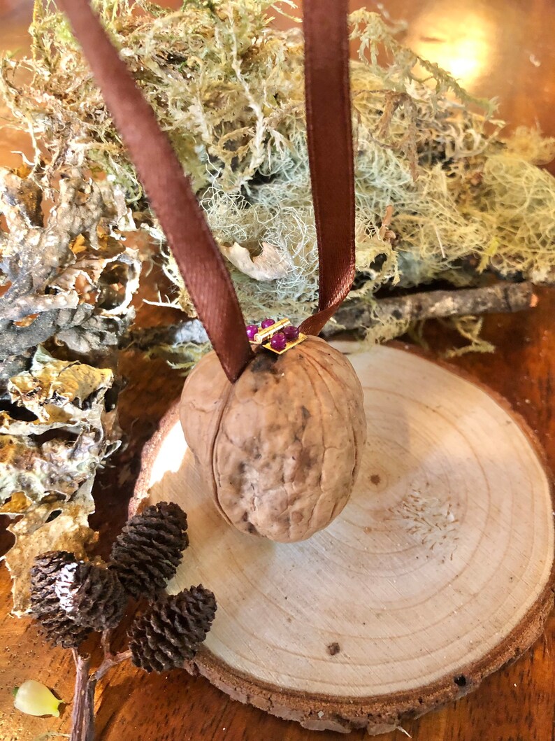 Micro Fairy in a Walnut House Diorama - Etsy