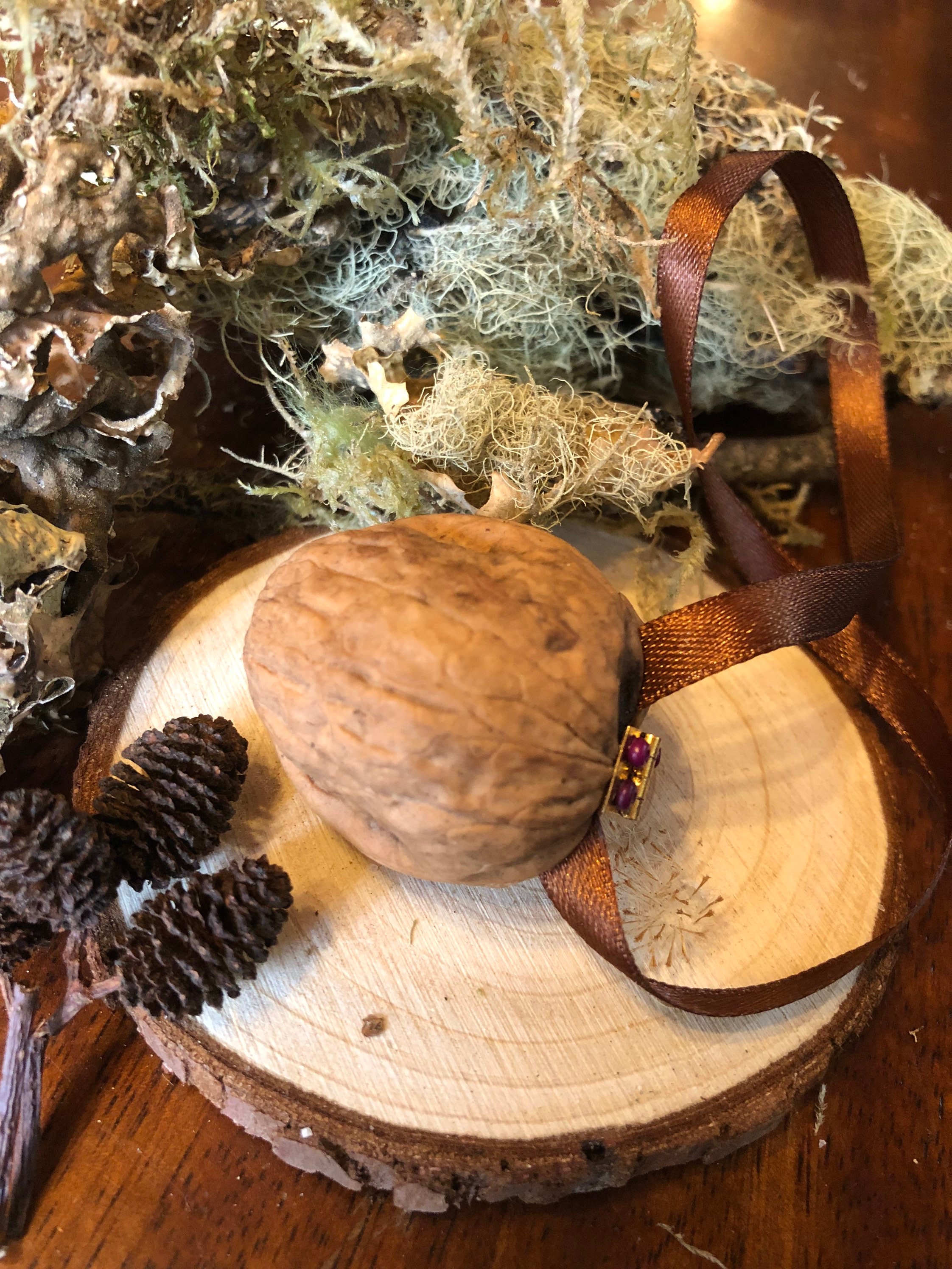 Micro Fairy in a Walnut House Diorama - Etsy