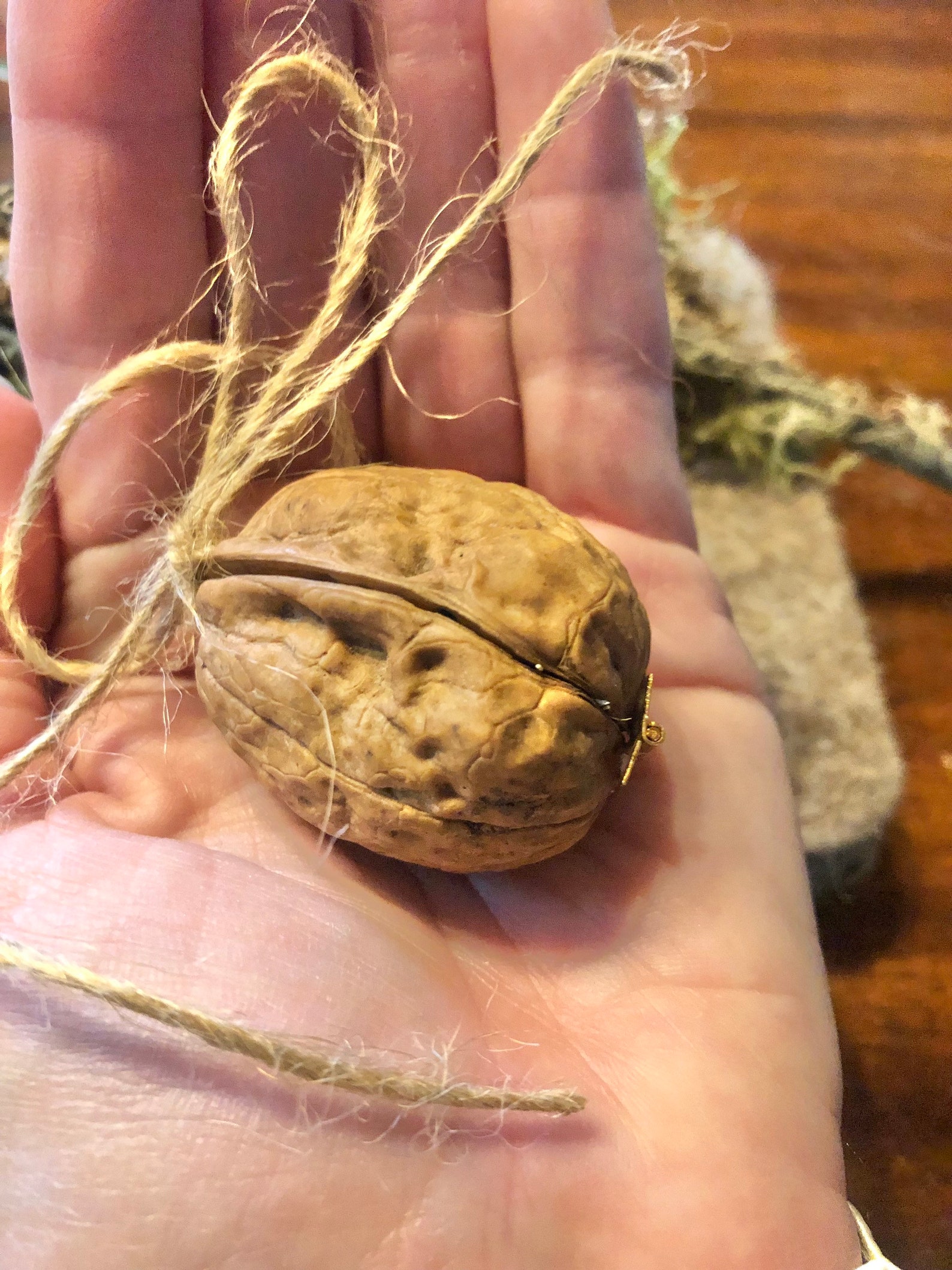 Micro Baby in Walnut Diorama Ornament - Etsy