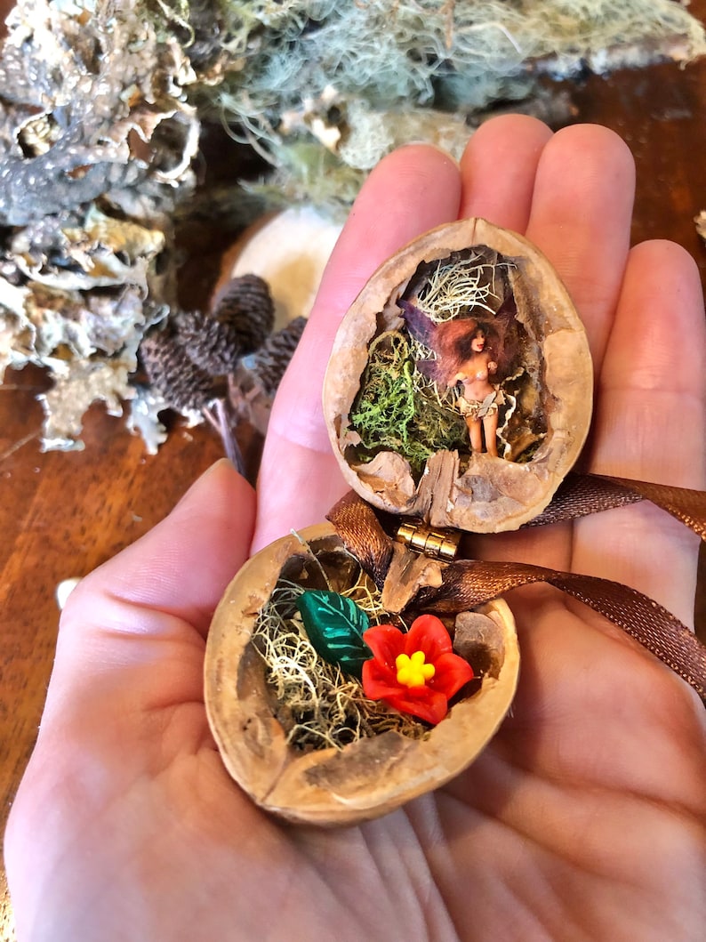 Micro Fairy in a Walnut House Diorama - Etsy