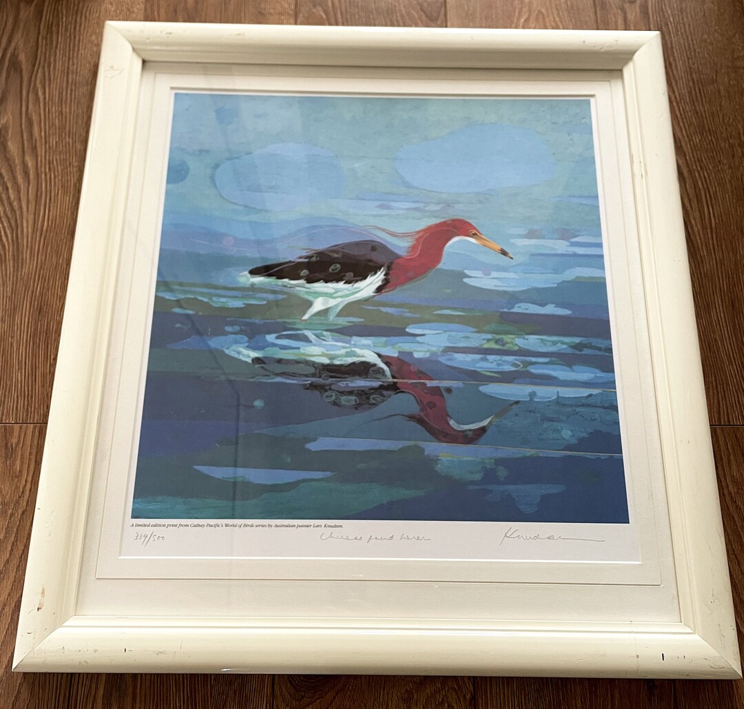 Framed Lithographic Art Print of a Chinese Pond Heron by Lars Knudsen ...