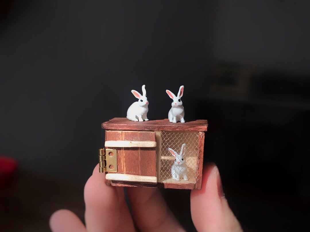 Miniature Rabbits and Their Hutch Micro Rabbit - Etsy