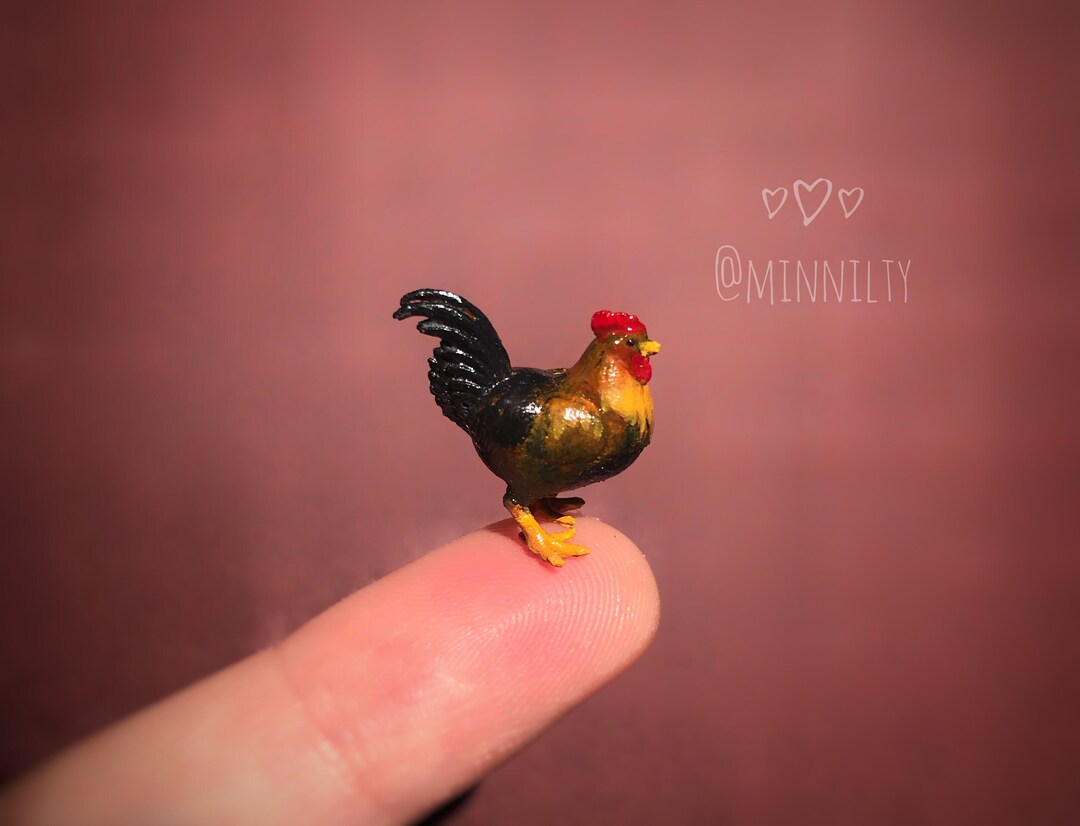 Miniature Rooster Tiny Rooster Tiny Animals Miniature Animals Farm ...