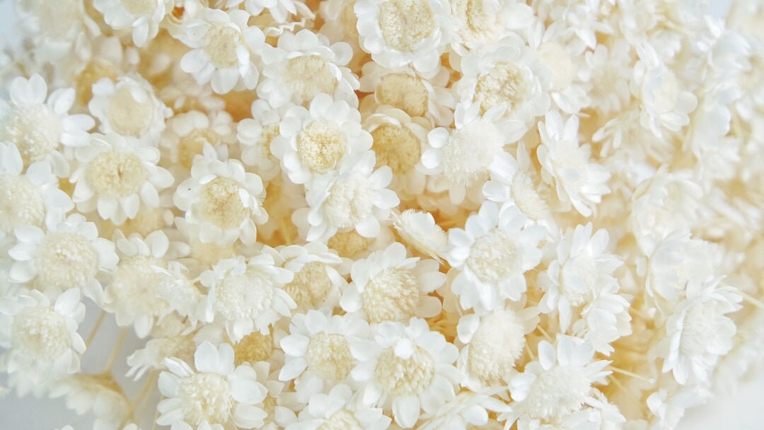 Bunch of Dried Flowers, Dried Glixia - Etsy