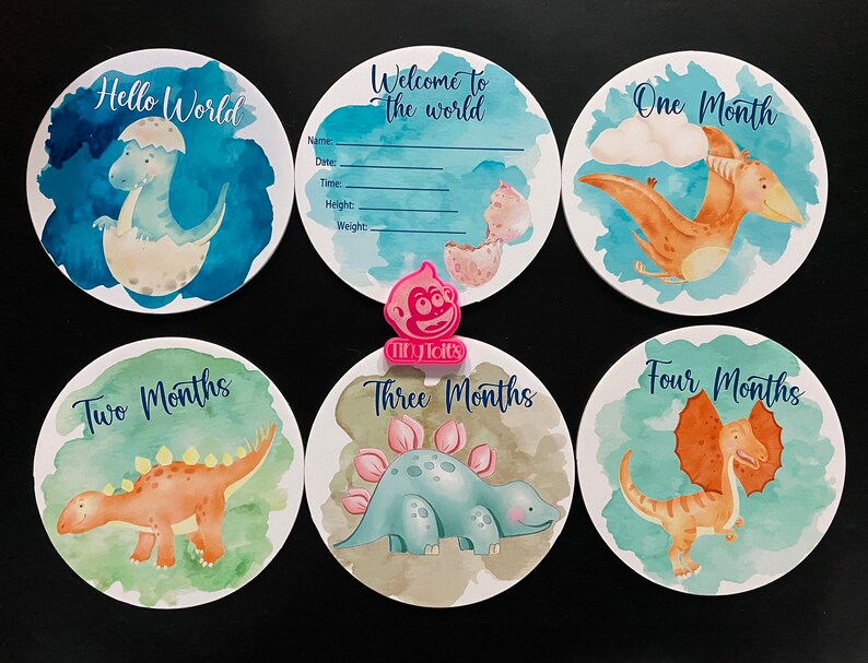 Dinosaurs Prehistoric T-rex Baby Milestone Discs 1-12 Months. - Etsy