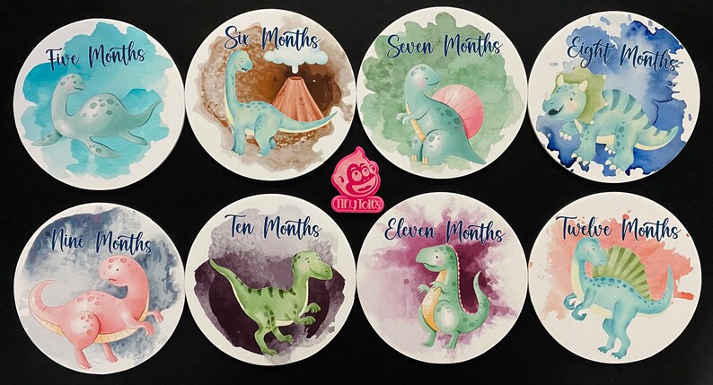 Dinosaurs Prehistoric T-rex Baby Milestone Discs 1-12 Months. - Etsy