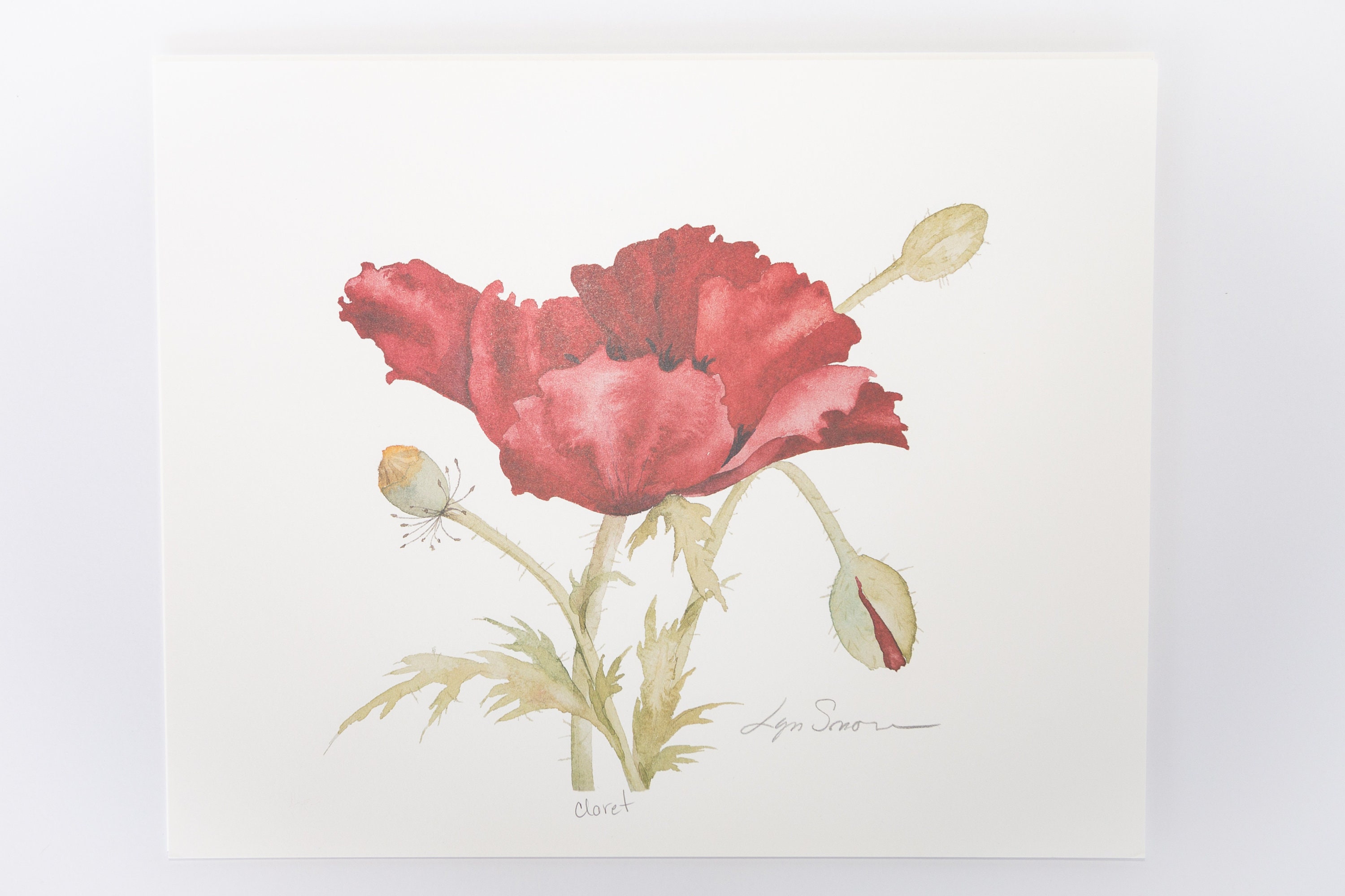 Claret: Watercolor Print by Lyn Snow - Etsy