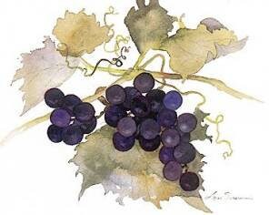 Concord: Watercolor Print by Lyn Snow - Etsy