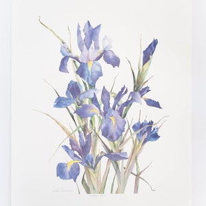 Lucy's Iris: Watercolor Print by Lyn Snow - Etsy