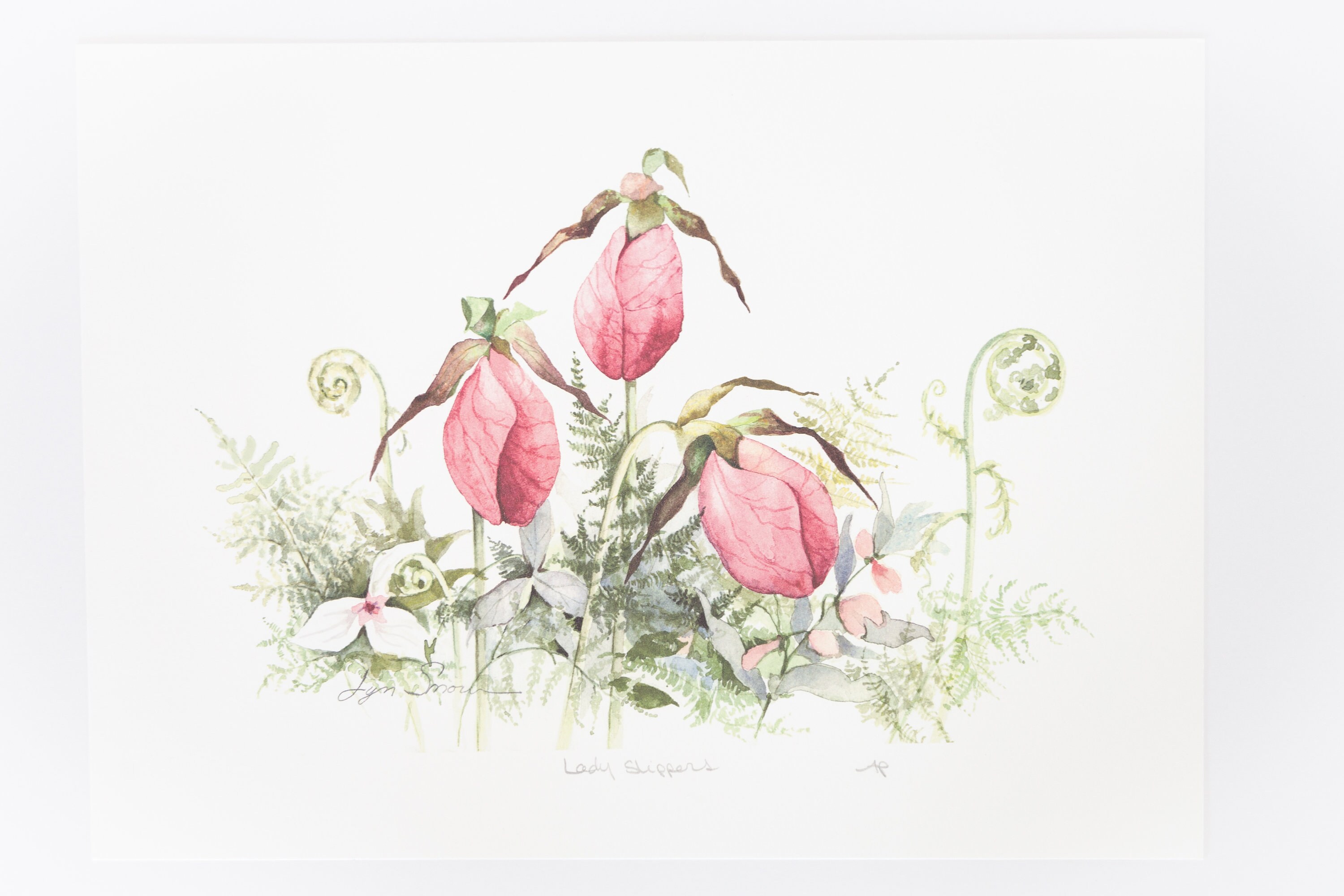Lady Slippers: Watercolor Print by Lyn Snow - Etsy
