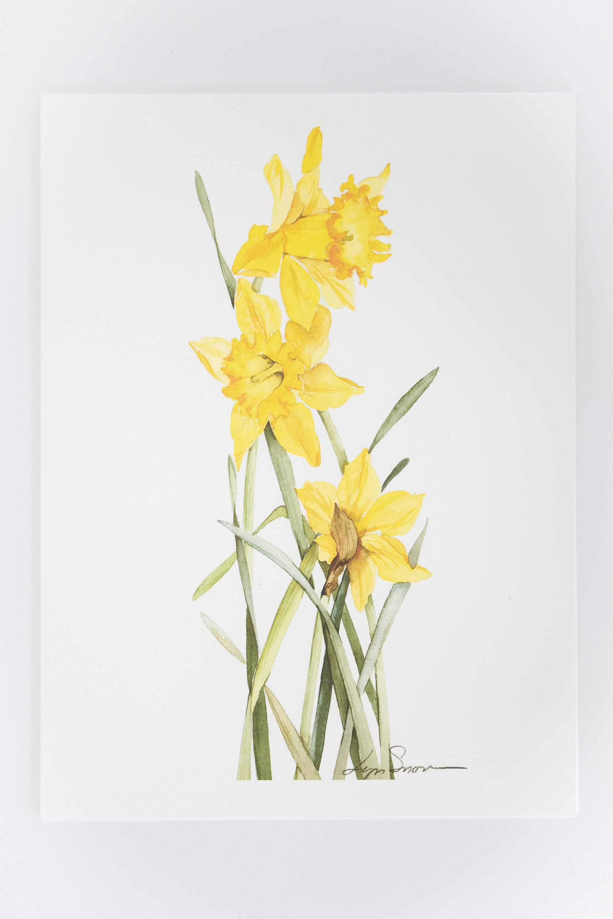 Daffodil: Watercolor Print by Lyn Snow - Etsy