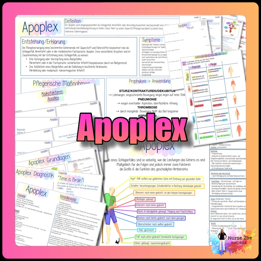 018/010 Apoplexy Stroke Summary in A4 and Flashcards in A6 as PDF to Print - Etsy