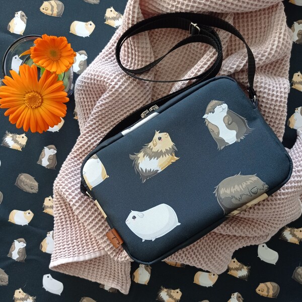 Guinea Pig Box - Etsy