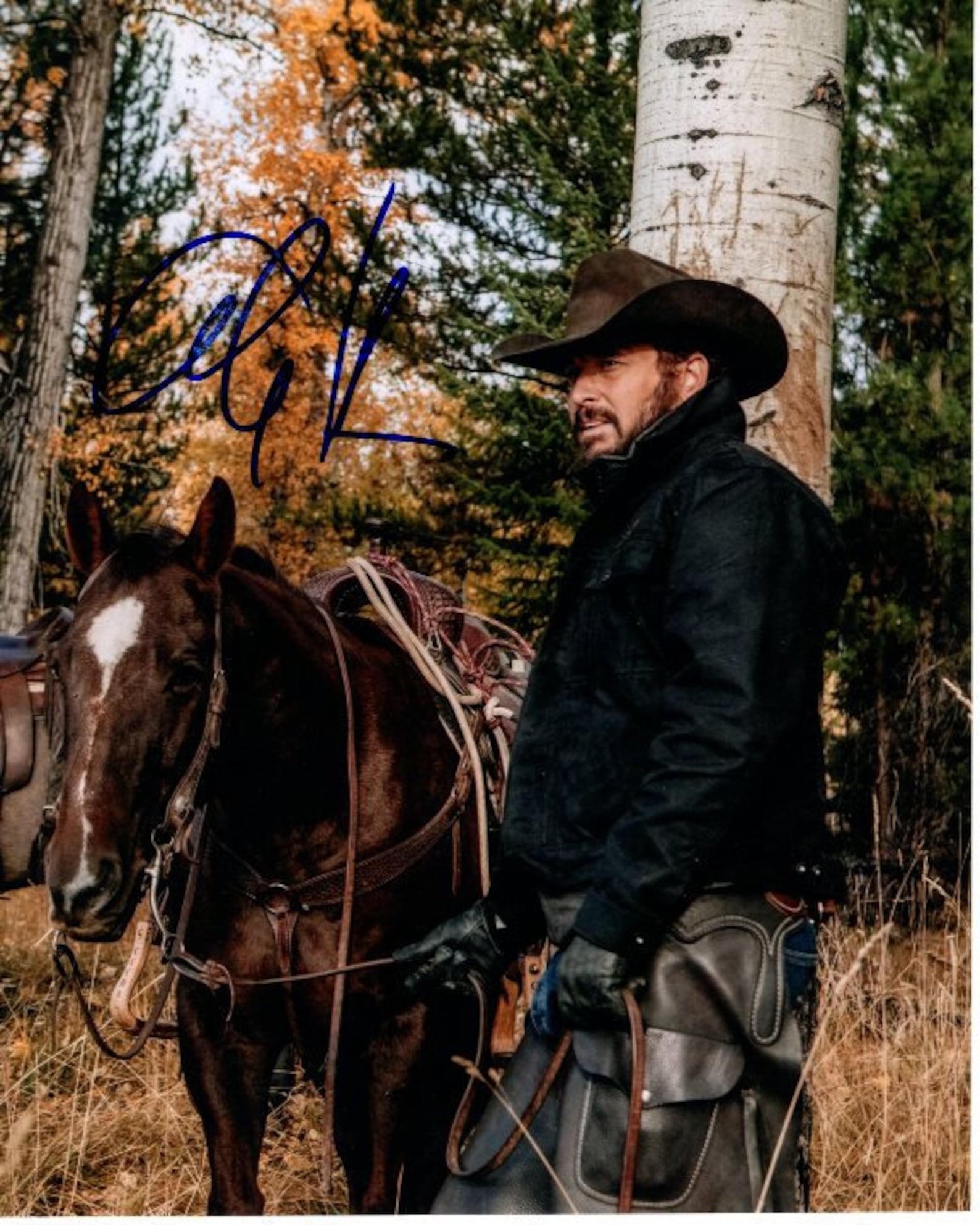 Cole Hauser Signed 8x10 Yellowstone Rip Photo W/ Hologram COA - Etsy