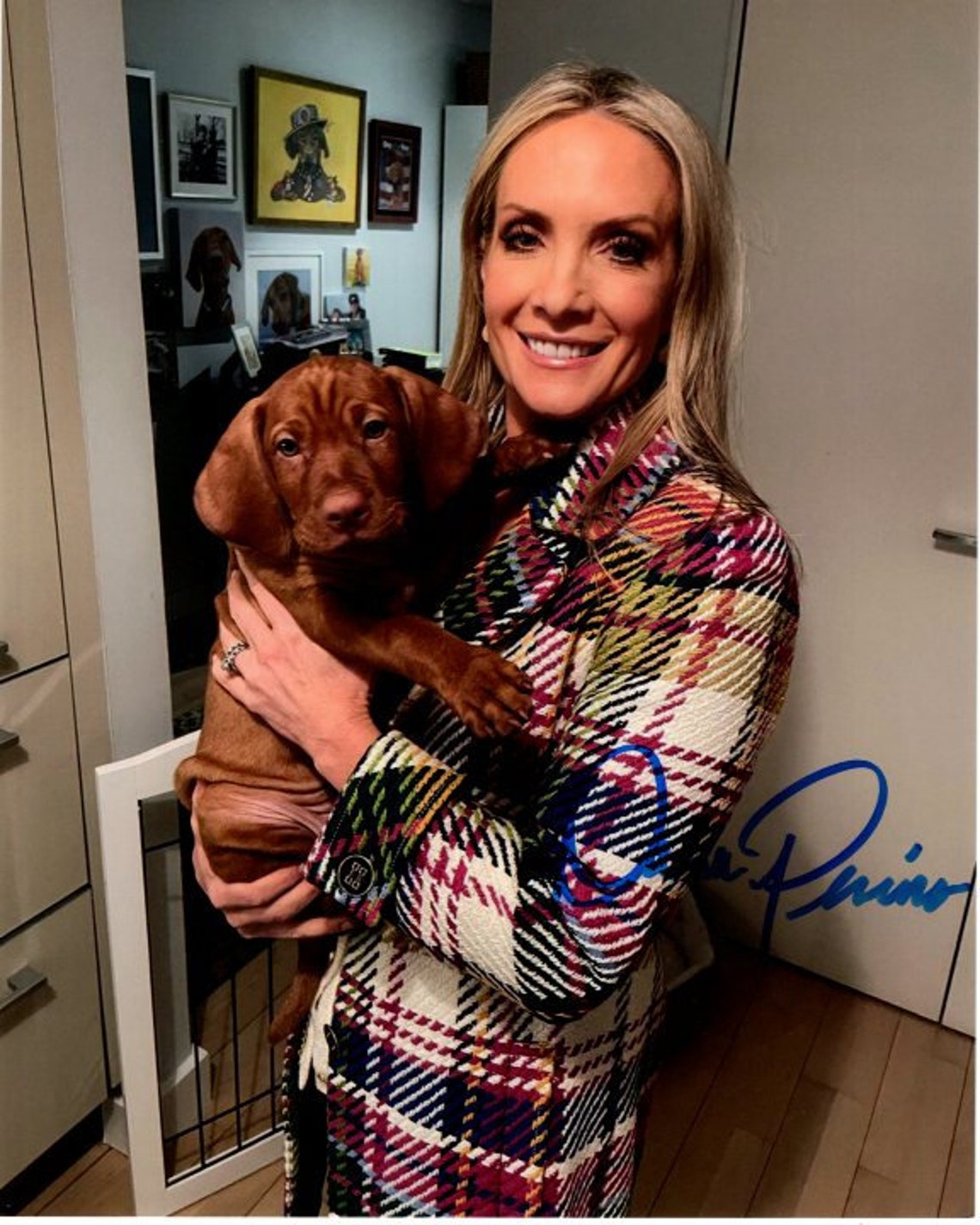 Dana Perino Signed W/ Percy the Dog 8x10 Photograph W/ Hologram Coa - Etsy