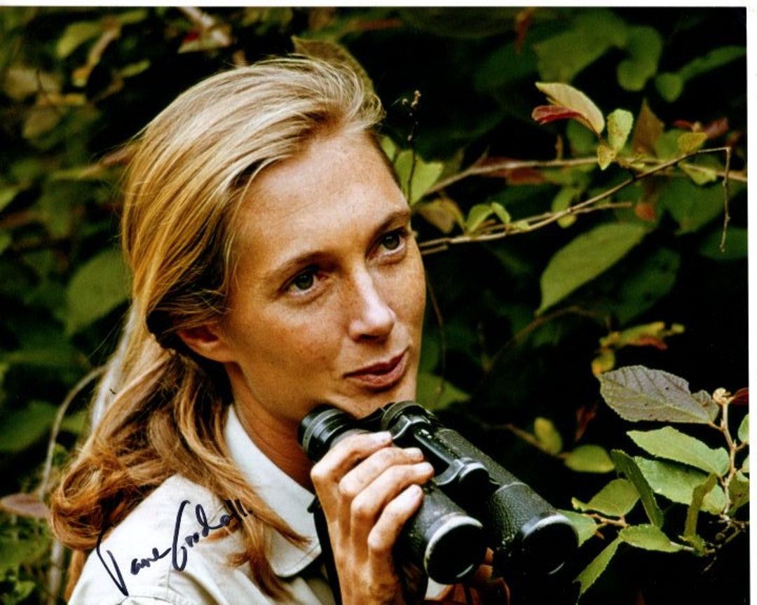 Jane Goodall Signed 8x10 Photo W/ Hologram Coa - Etsy