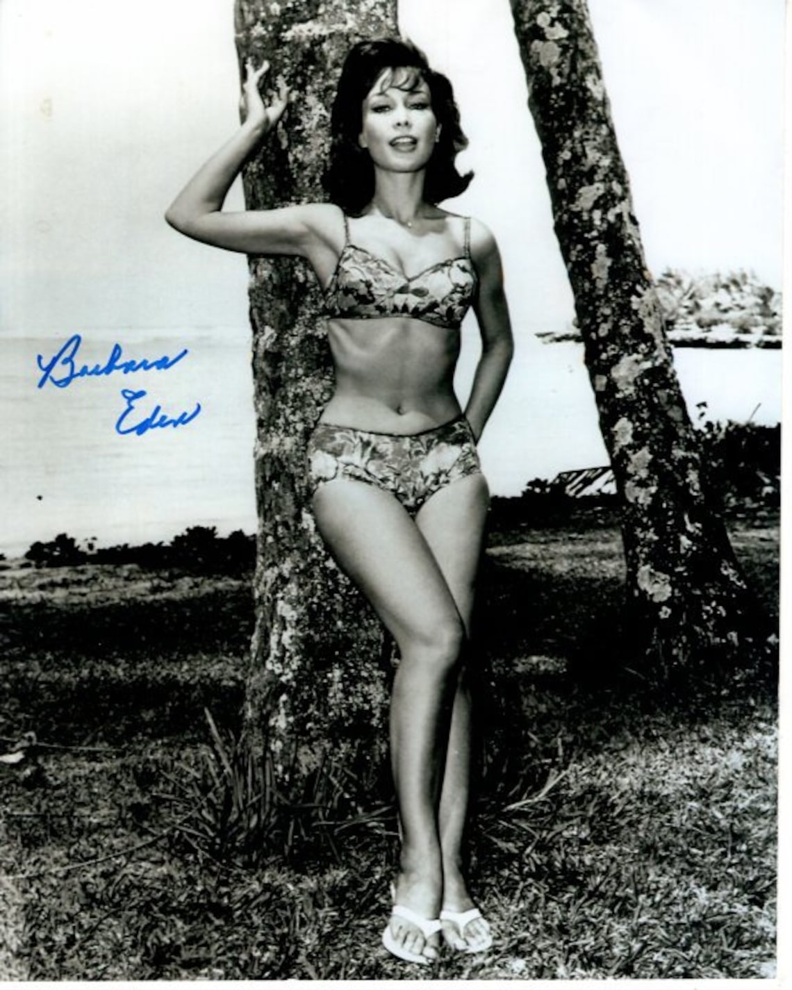 Barbara Eden Signed 8x10 Sexy Bikini Photo W/ Hologram Coa - Etsy