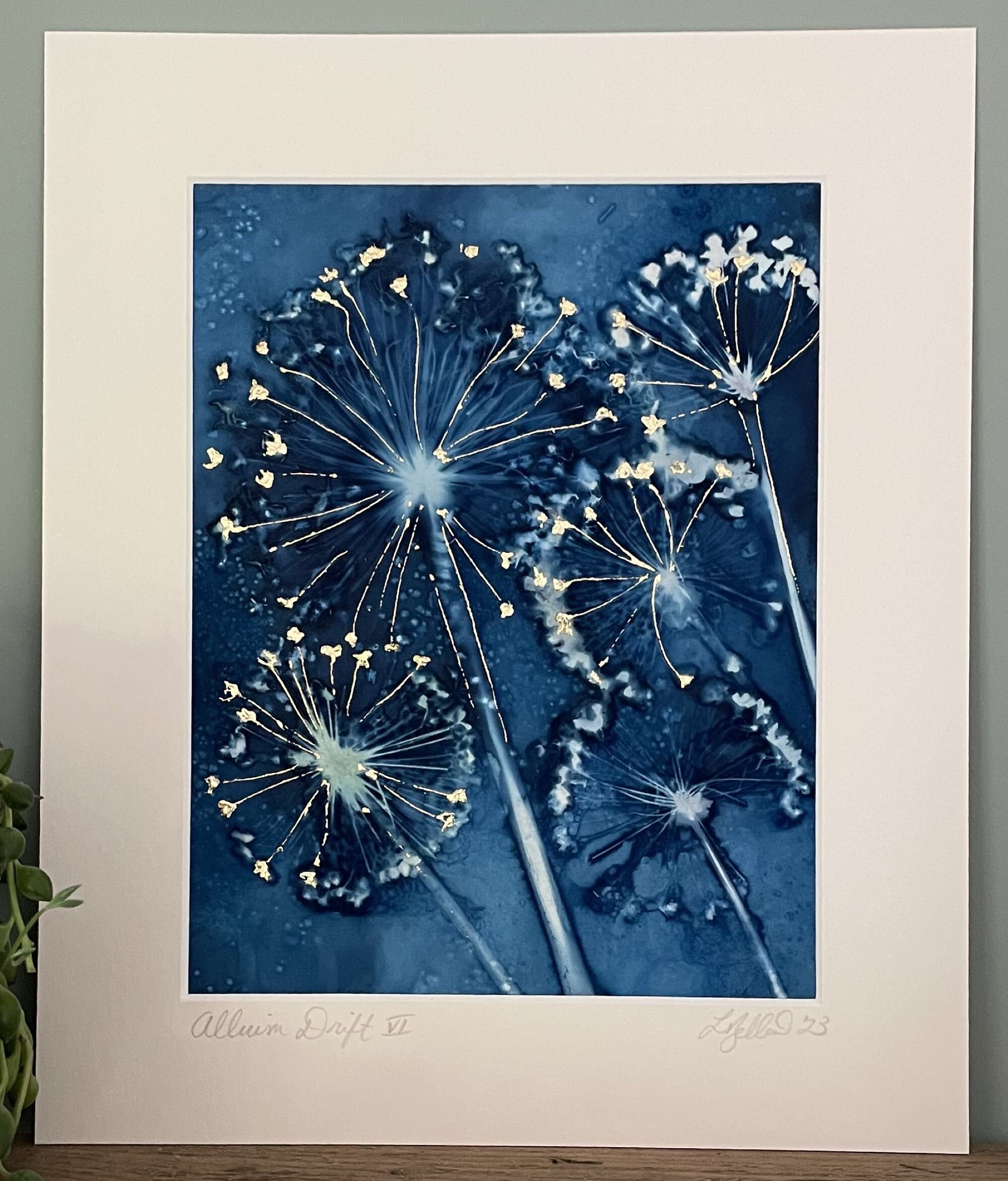 Original Cyanotype Art Print 'allium Drift VI' - Etsy UK