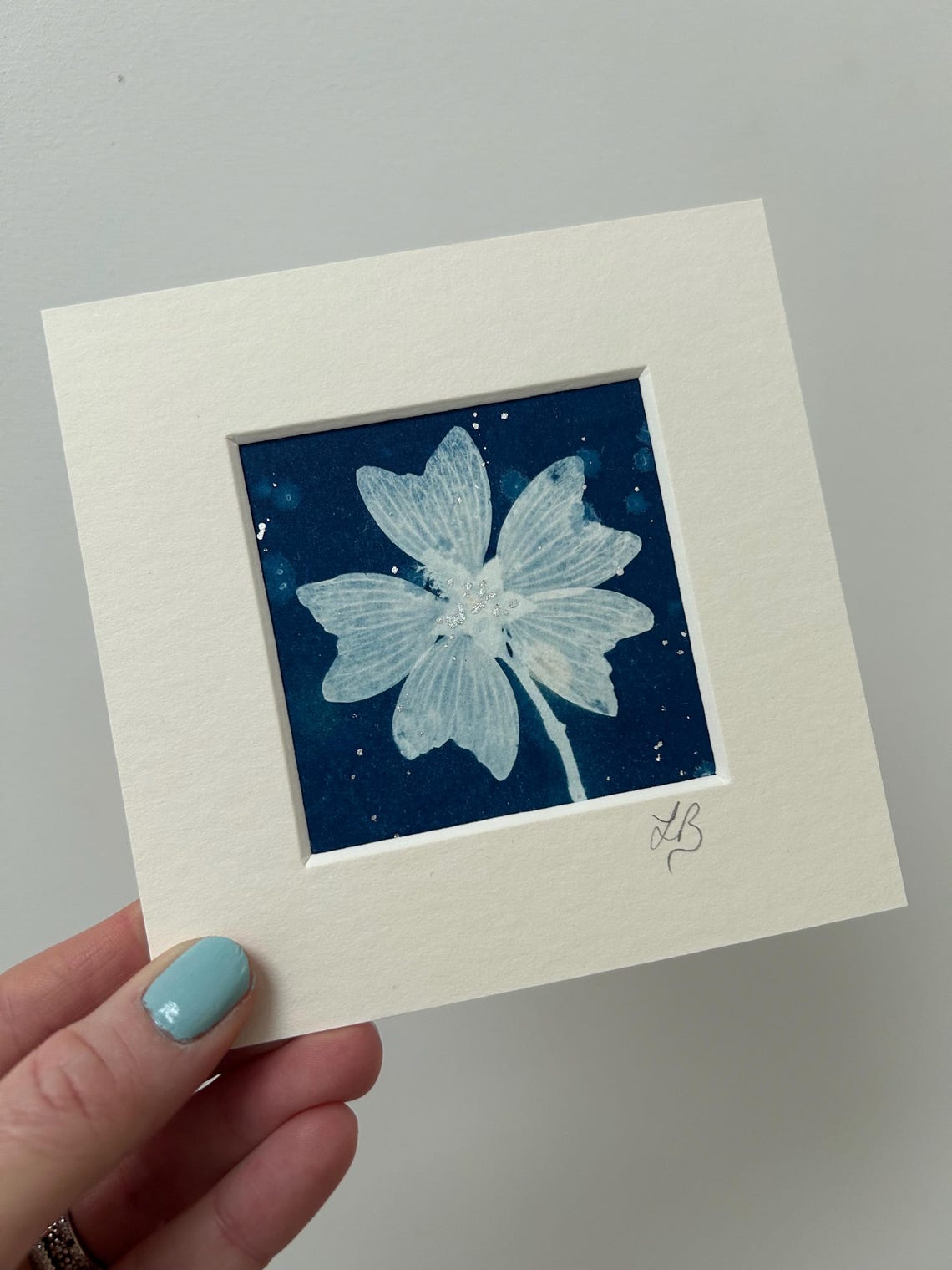 Mini Cyanotype Art Print 5x5" Mounted - Etsy