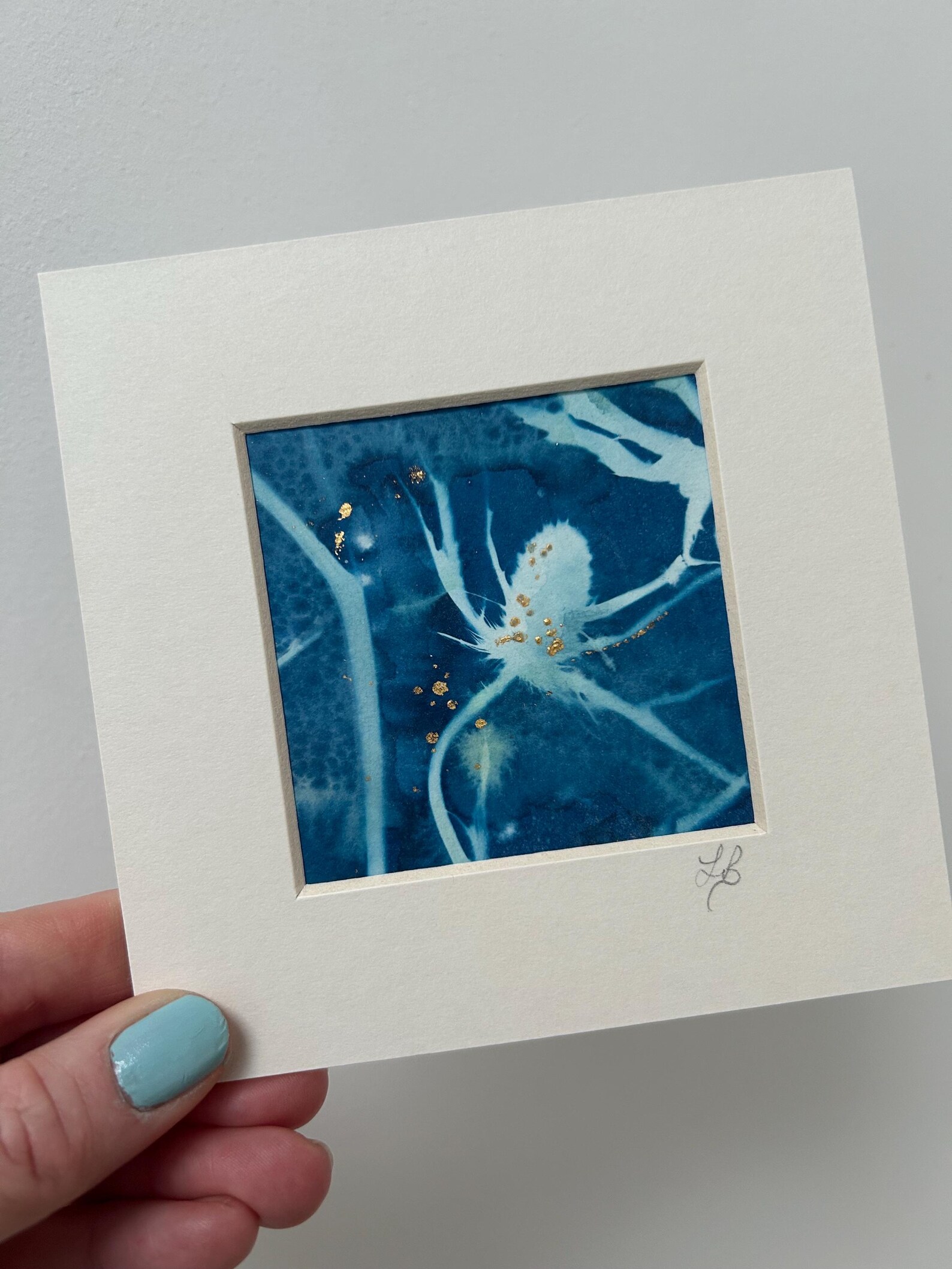 Mini Cyanotype Art Print 5x5" Mounted - Etsy