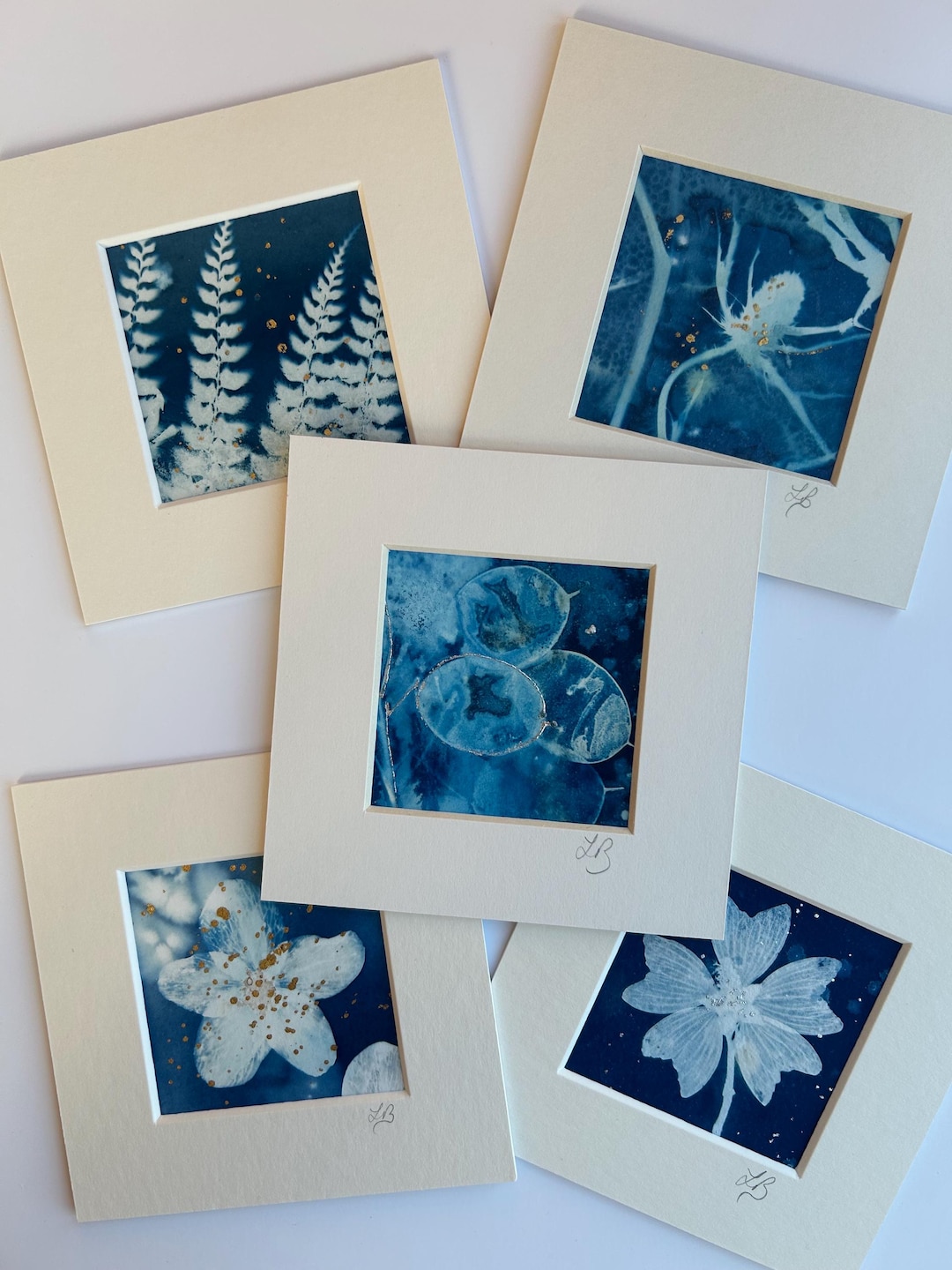 Mini Cyanotype Art Print 5x5" Mounted - Etsy