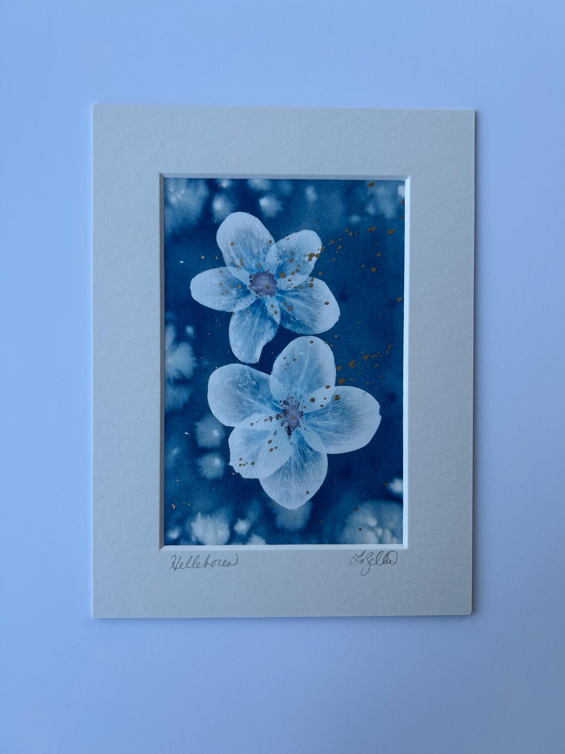 Original Cyanotype Botanical Hellebores Art Print With 24k Gold Leaf ...