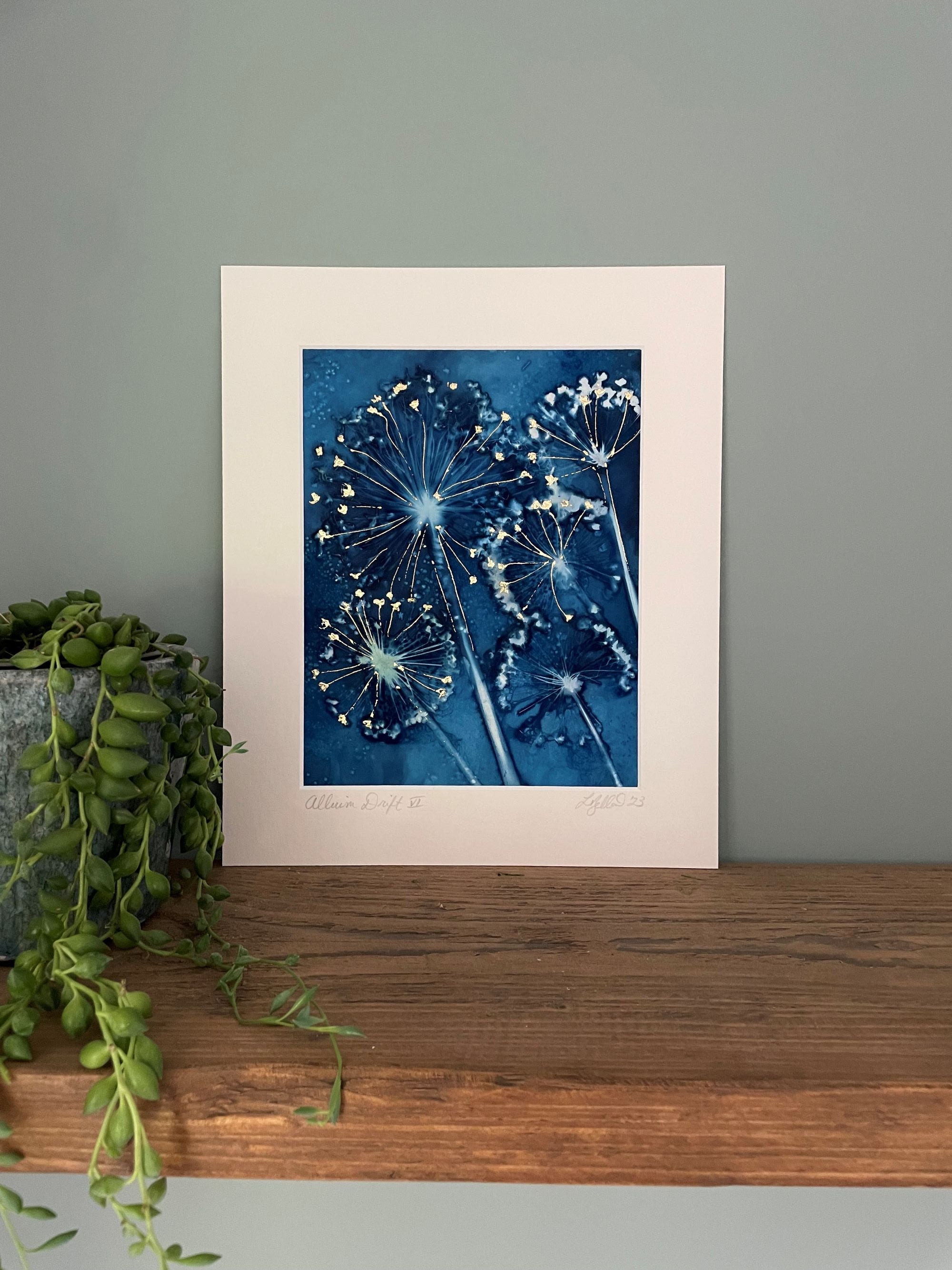 Original Cyanotype Art Print 'allium Drift VI' - Etsy UK