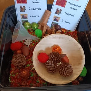 Fall Fun Sensory Play Bin, Montessori Preschool Fall Unit Study, Autumn ...
