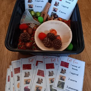 Fall Fun Sensory Play Bin, Montessori Preschool Fall Unit Study, Autumn ...