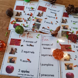 Fall Fun Sensory Play Bin Digital Files, Montessori Preschool Fall Unit ...