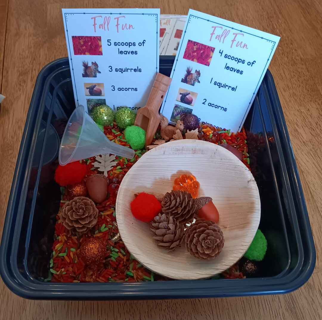 Fall Fun Sensory Play Bin, Montessori Preschool Fall Unit Study, Autumn ...