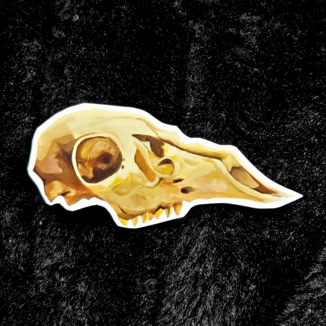 DEER SKULL STICKER - Female Deer Skull Oddities Premium 3 Inch Sticker ...