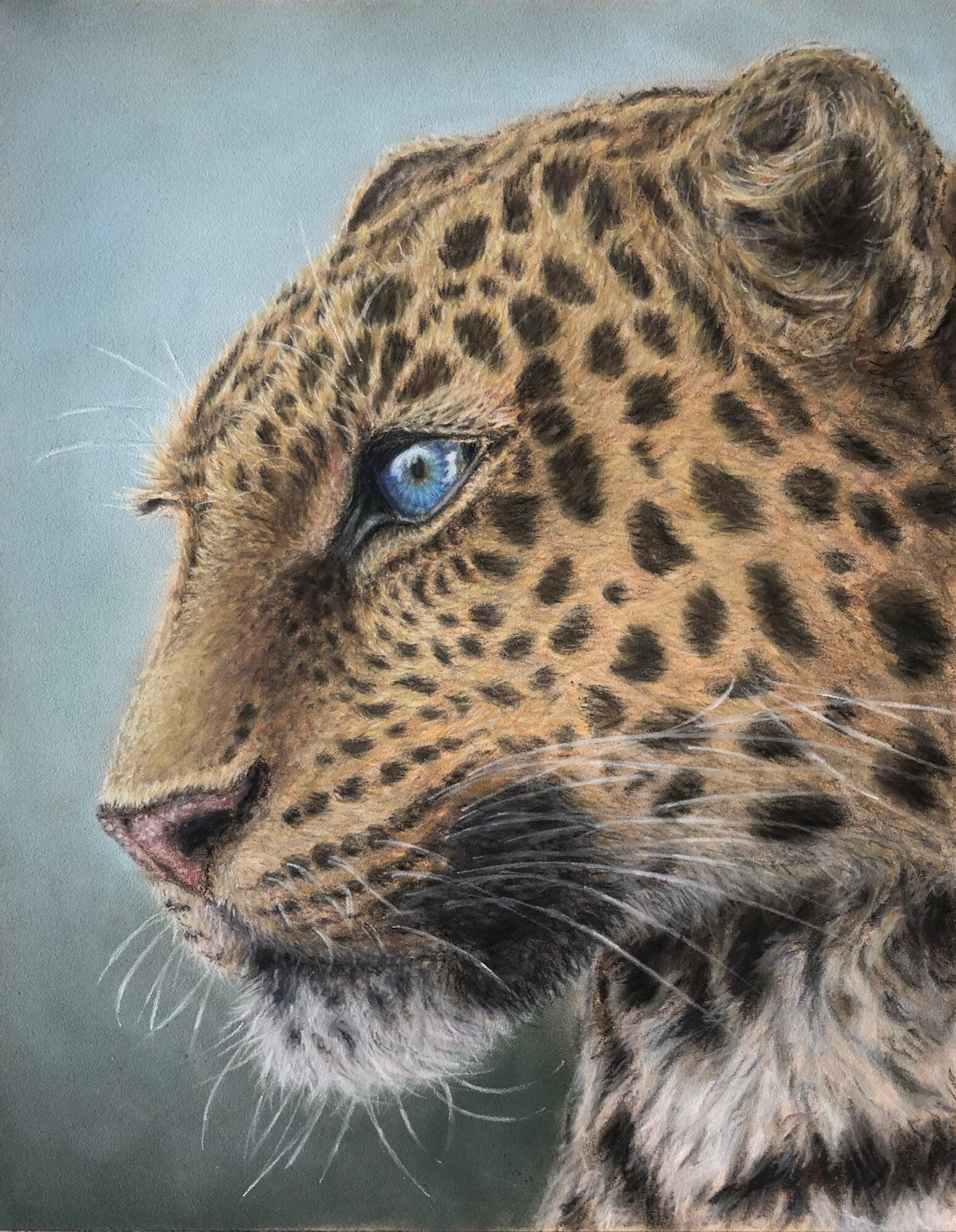 Custom Wildlife Portraits - Etsy