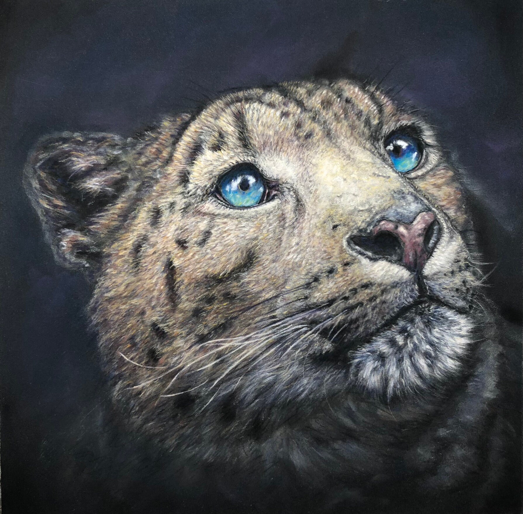 Custom Wildlife Portraits - Etsy