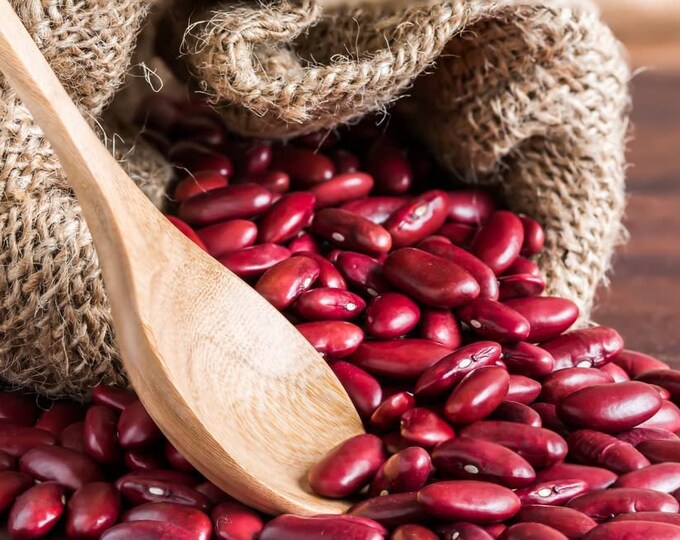 30 Red Kidney Bean Seeds for Planting Easy to Grow, Very Healthy - Etsy