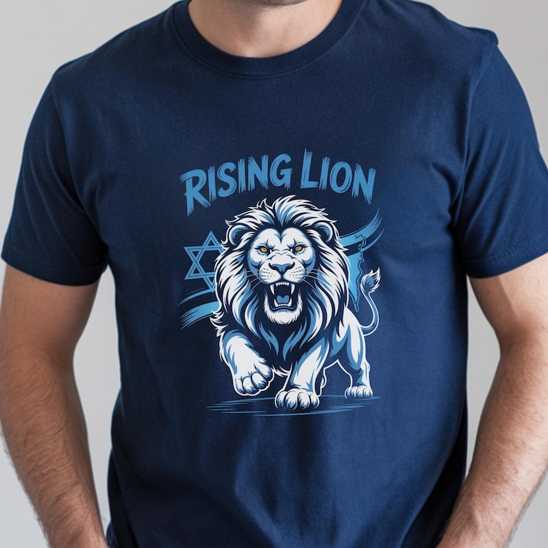 Iron Lion Hoodie - Etsy UK