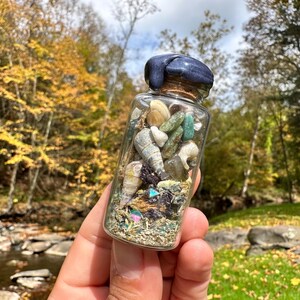 Great Lakes Jar | Sea Shells | Wildflowers | Crystals - Etsy