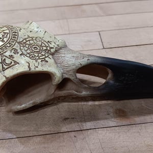 Collectible Alchemist Omega Pentagram Resin Raven Crow Skull - Etsy