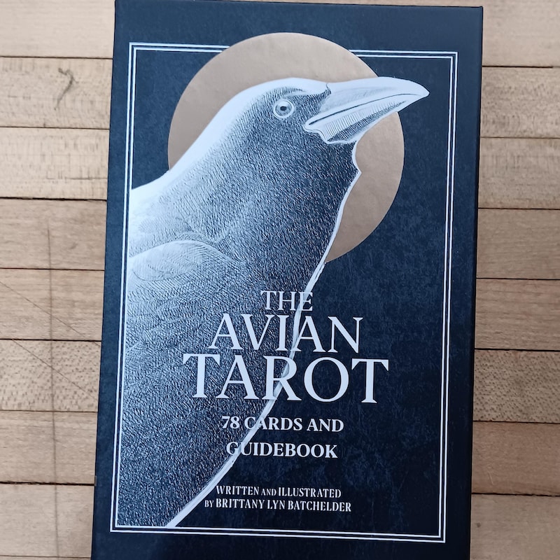 Bird Oracle Cards - Etsy