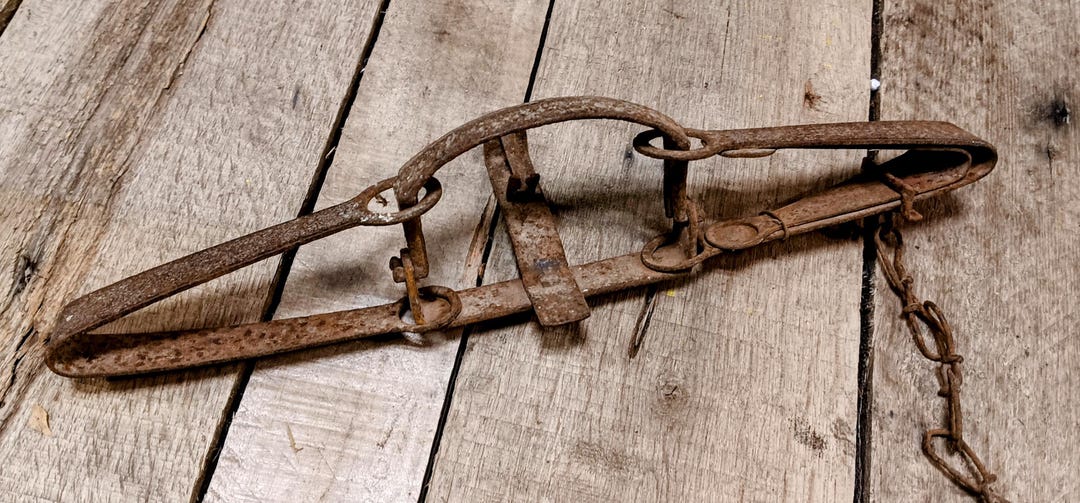 Vintage Oneida Double Long Spring Trap (missing Trigger Plate) - Etsy