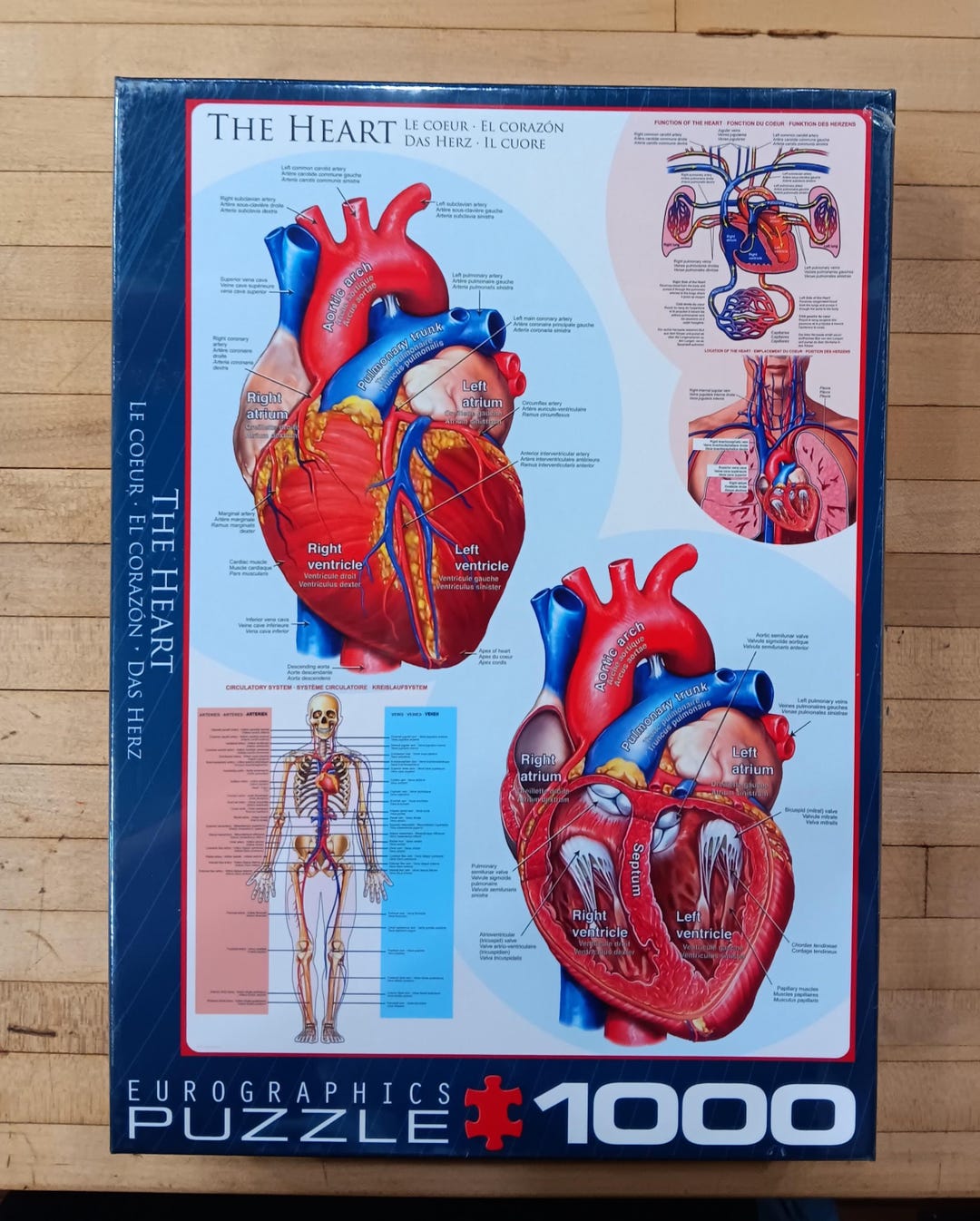 The Heart Anatomy Puzzle – 1000 Piece Educational Diagram - Etsy